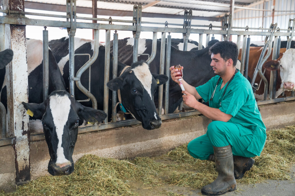 Livestock owners Support - IPV